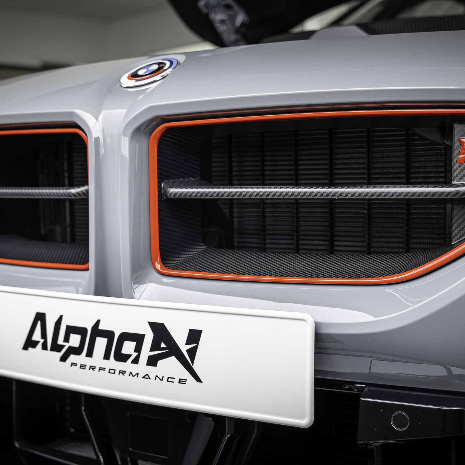 Alpha-N Tuning: Professional vehicle tuning and performance enhancement.