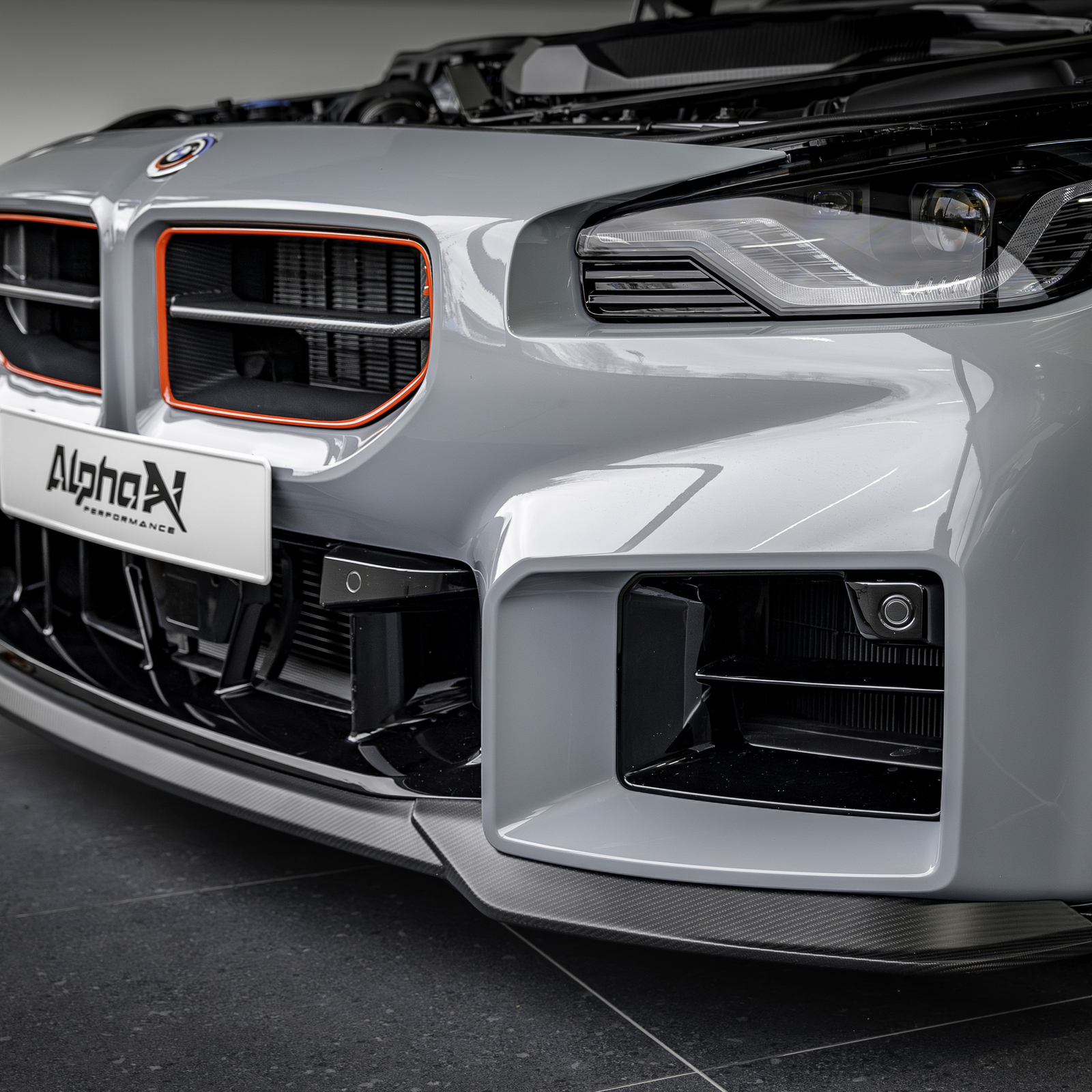 Alpha-N Tuning: Professional vehicle tuning and performance enhancement.