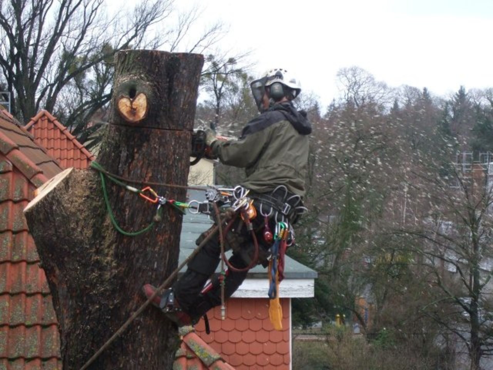 Kontakt - Baumservice Berlin